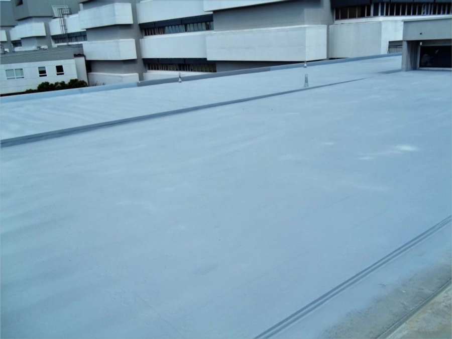 Case Studies | Neptune Pacific Ltd NZ